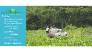 Serba Farm Organic Plantation | PPTX