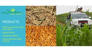 Serba Farm Organic Plantation | PPTX
