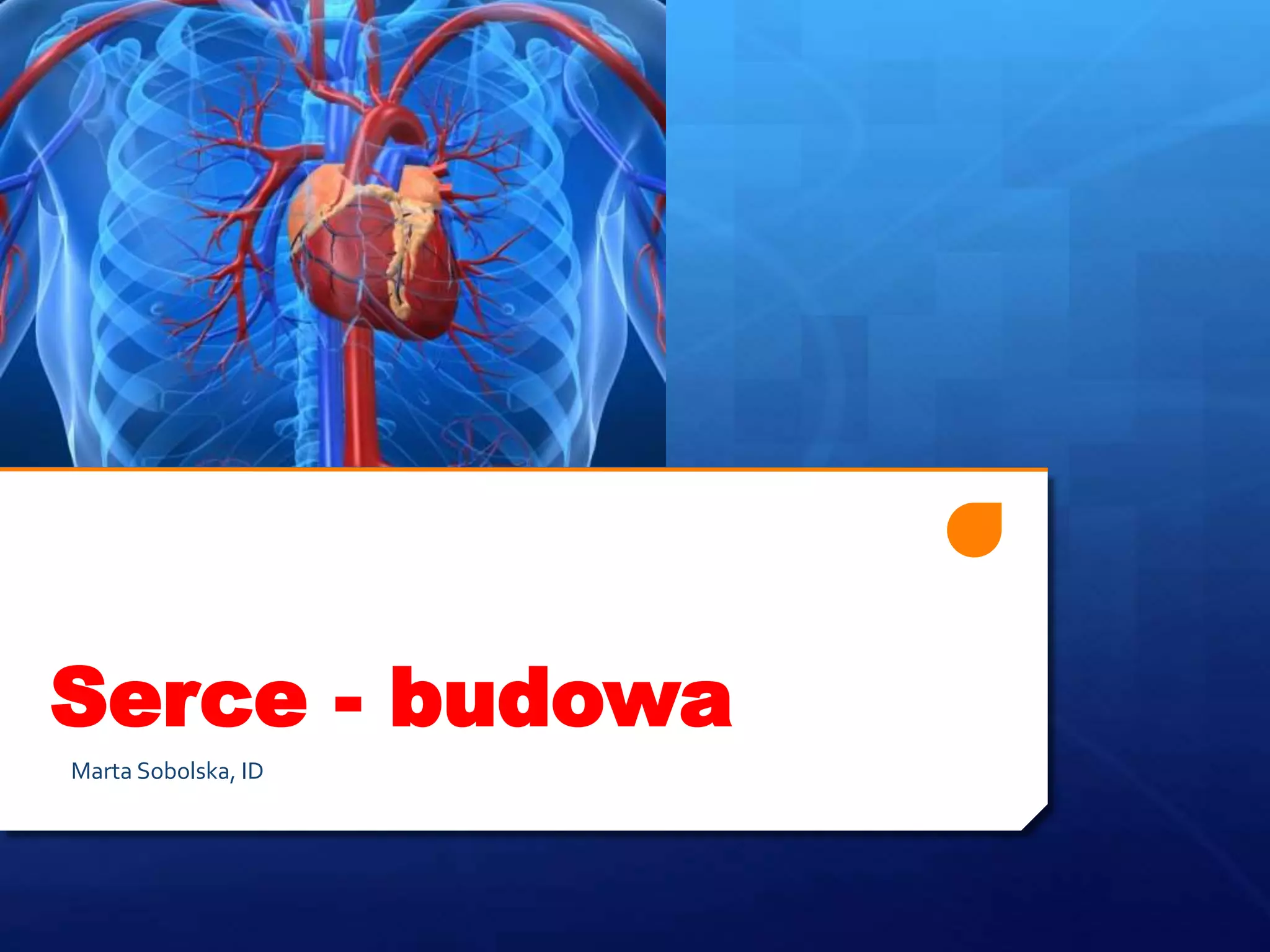 Serce budowa | PPTX