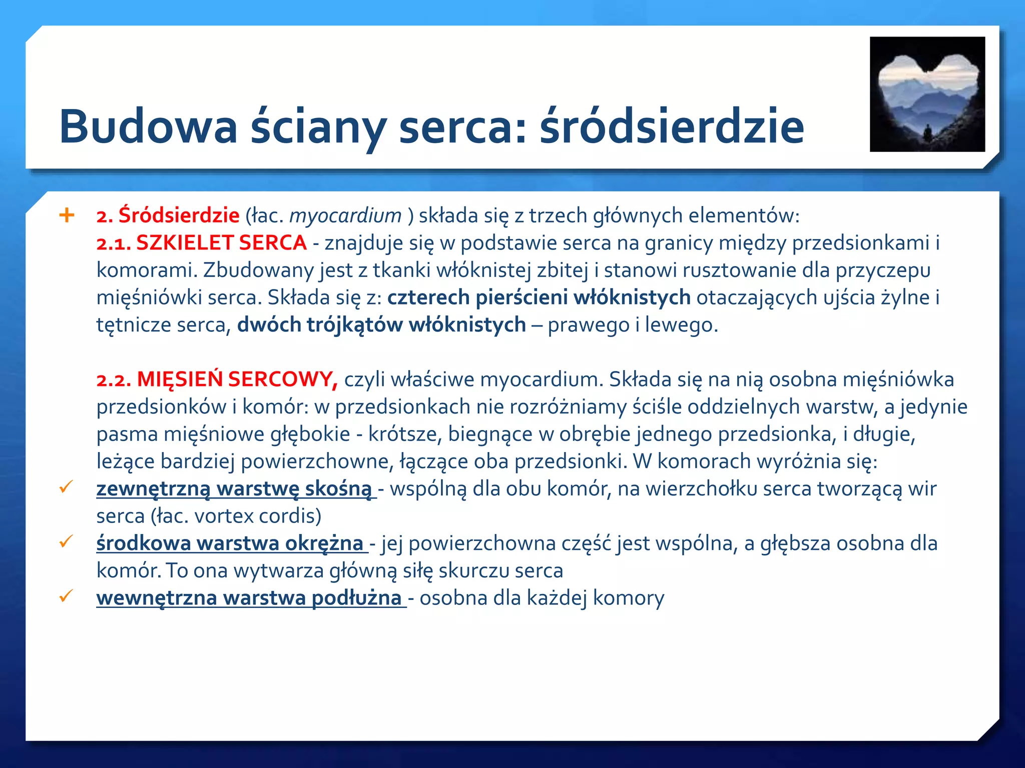Serce budowa | PPTX
