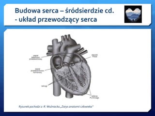 Serce budowa | PPTX