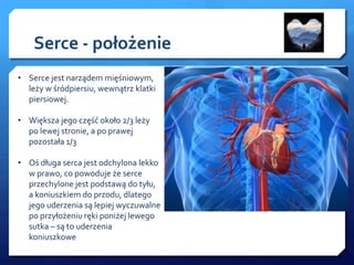 Serce budowa | PPTX