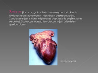 Serce Sluzy Nie Tylko Do Kochania 2 | PPT