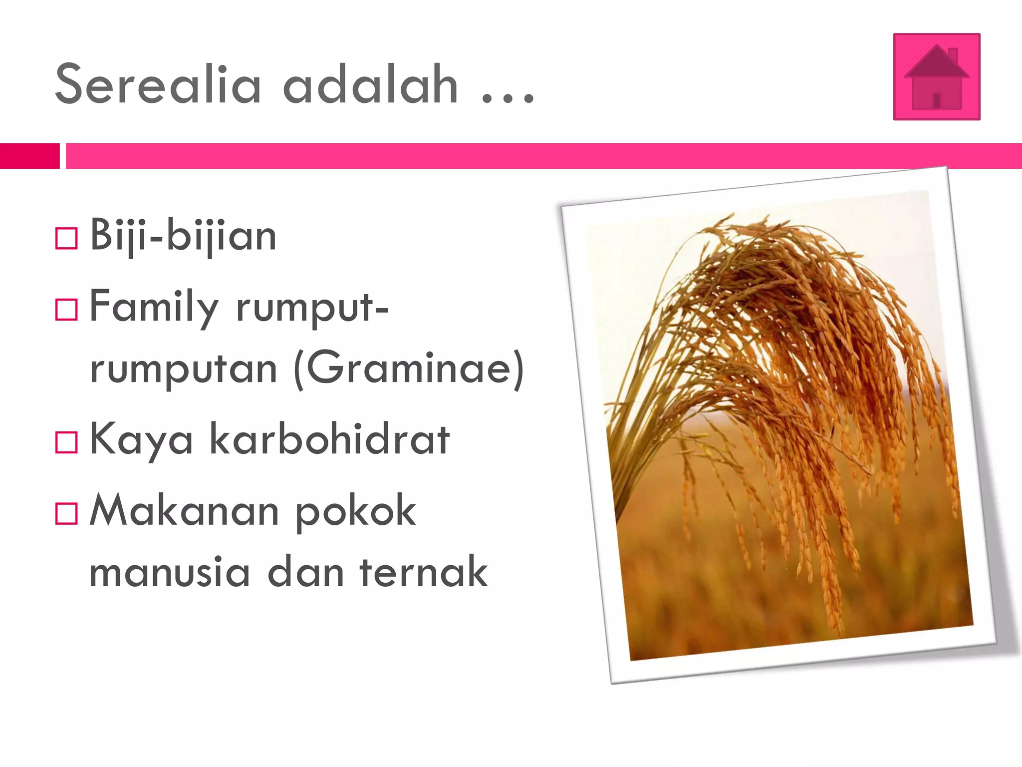 Serealia & kacang kacangan | PDF