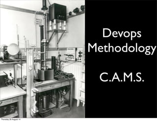 Serena DevOps Drive In - Patrick Debois Live on DevOps: 5 Years in ...