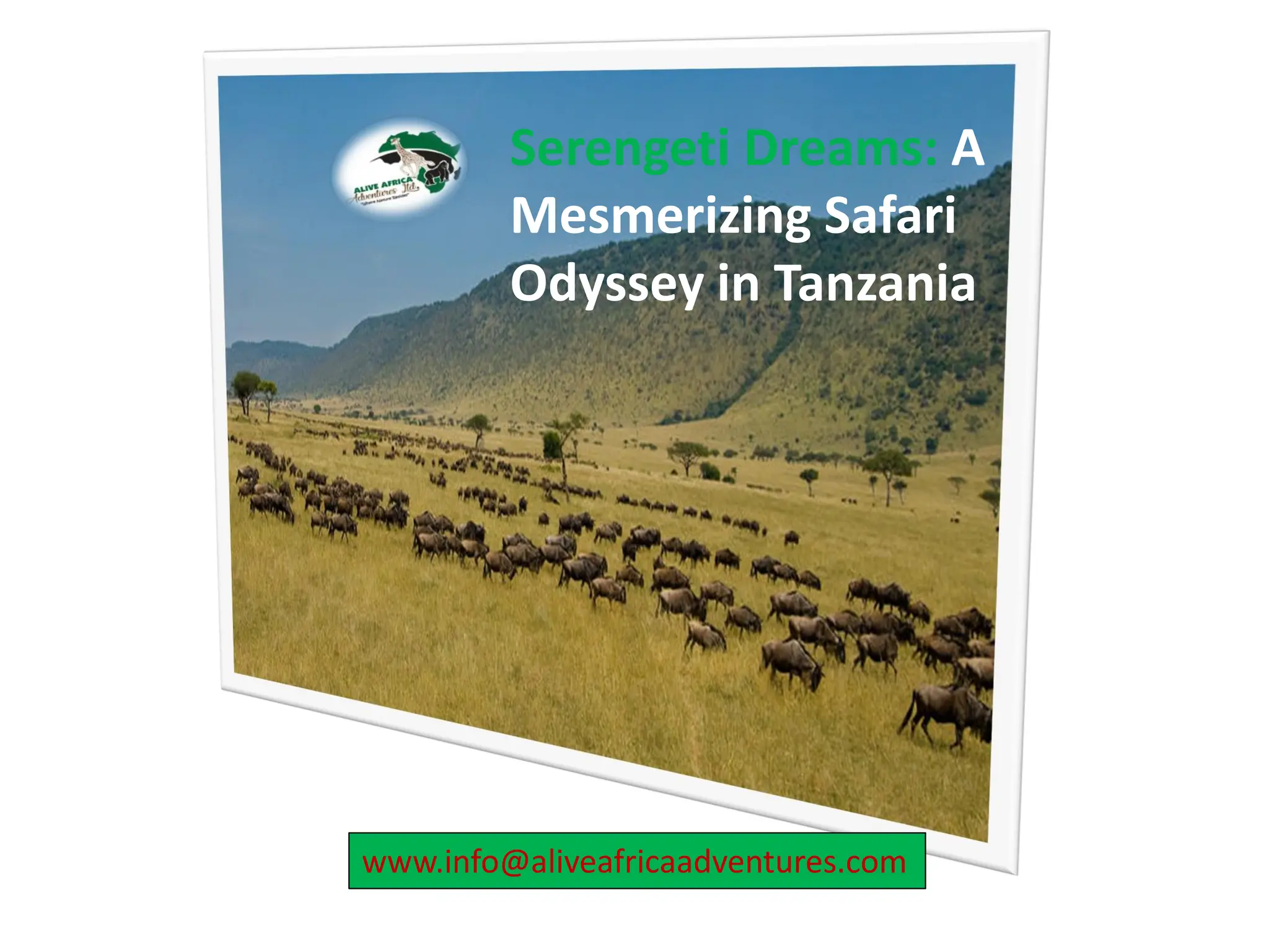 Serengeti Dreams :A Mesmerizing Safari Odyssey in Tanzania.pdf