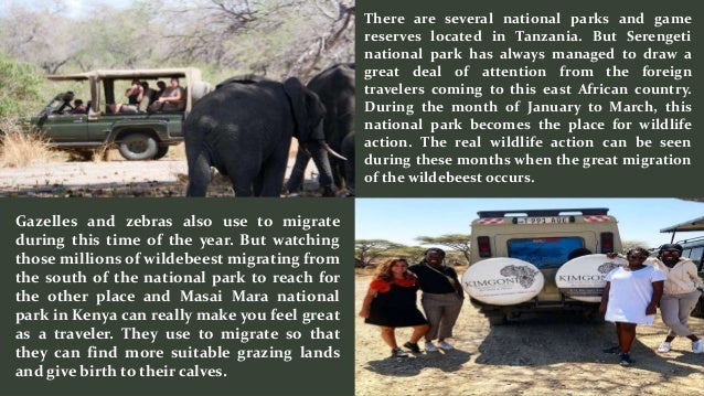 Serengeti Guided Tours | PPTX
