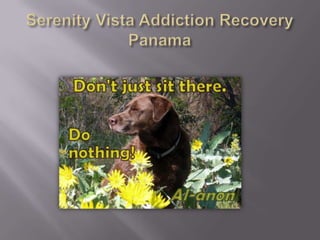 Sobriety and Recovery Slogans from Panama - Serenity Vista Addiction ...