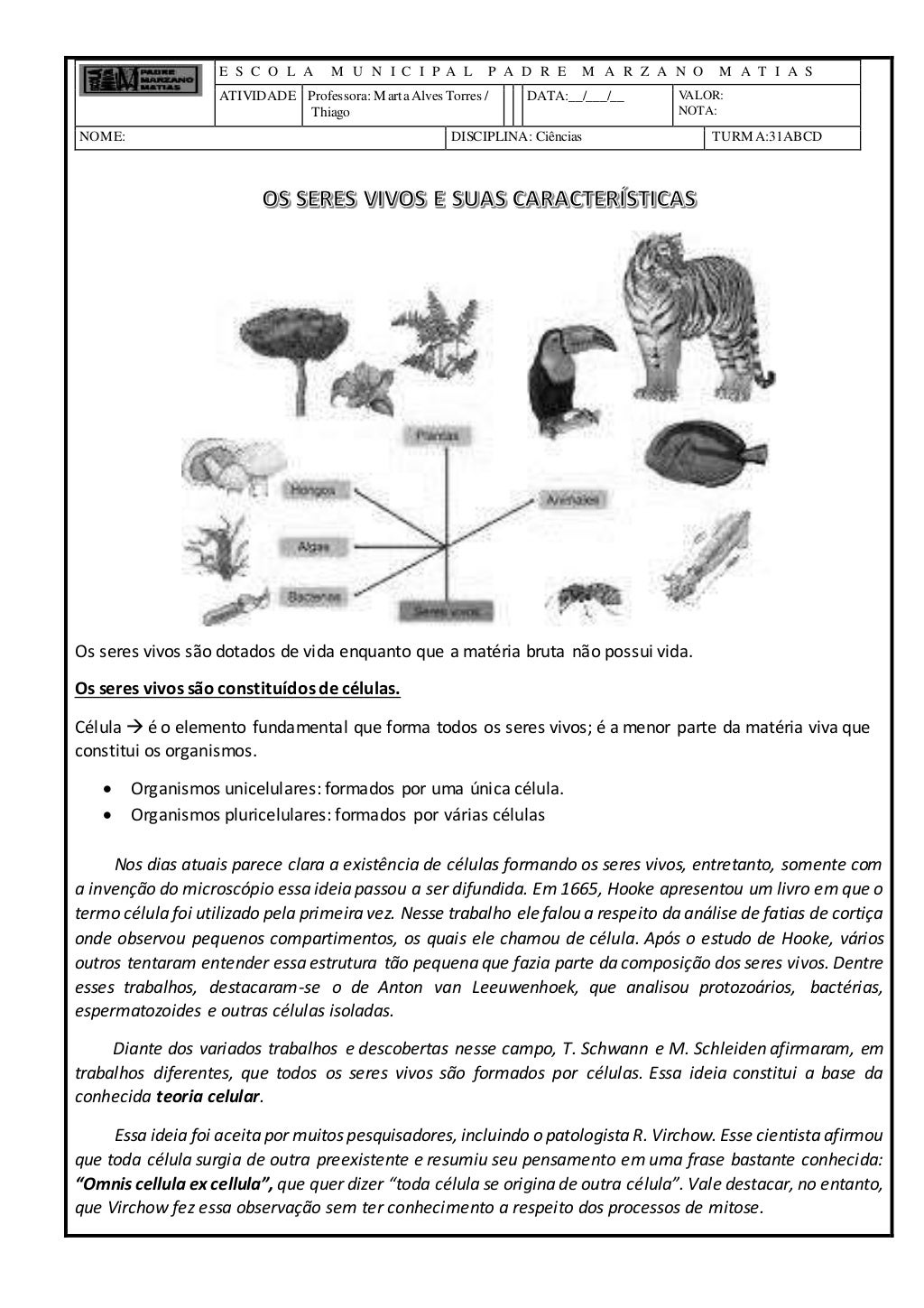 Seres vivos-e-suas-caracteristicas