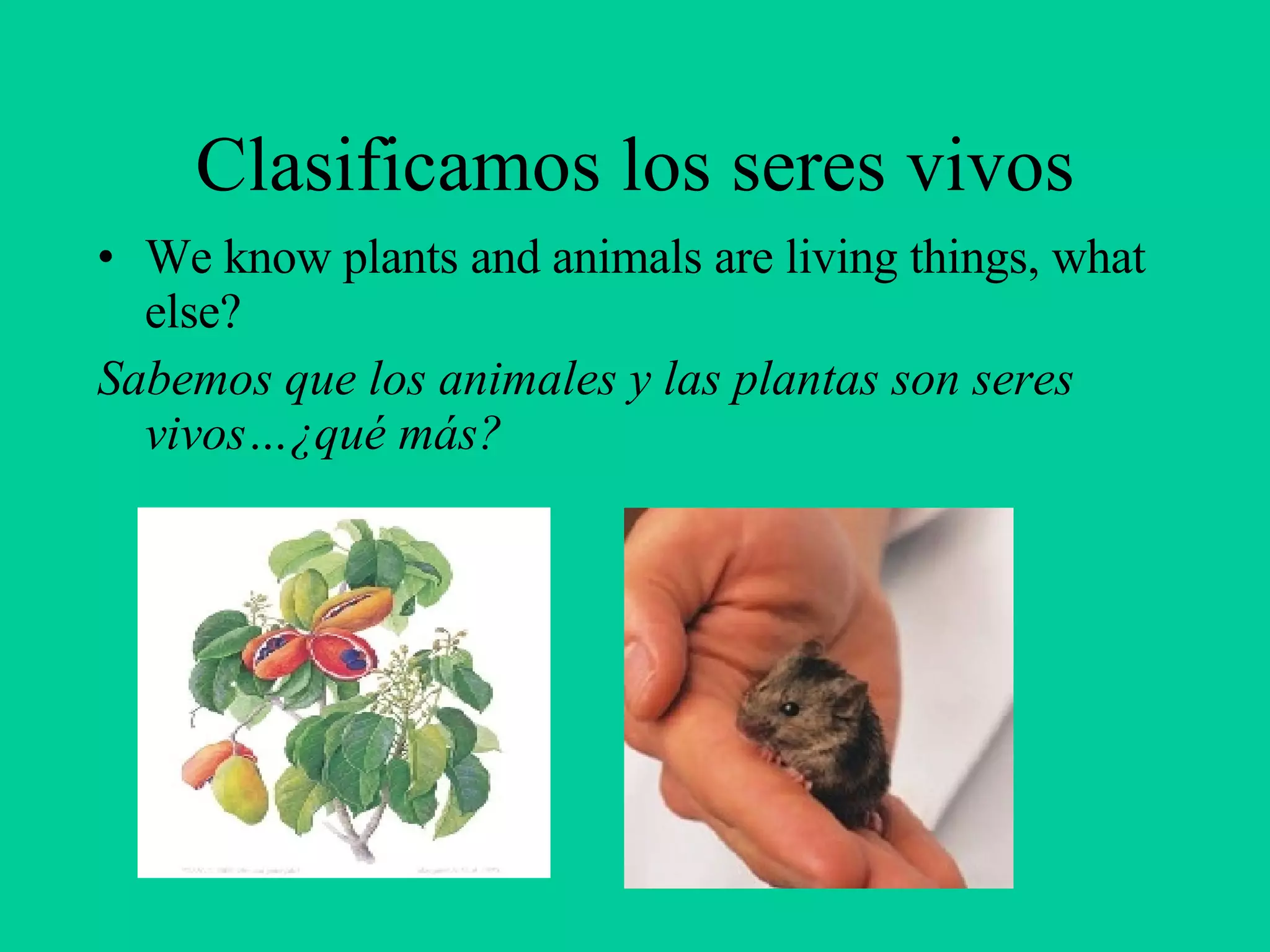 Living Things-Seres Vivos | PPT