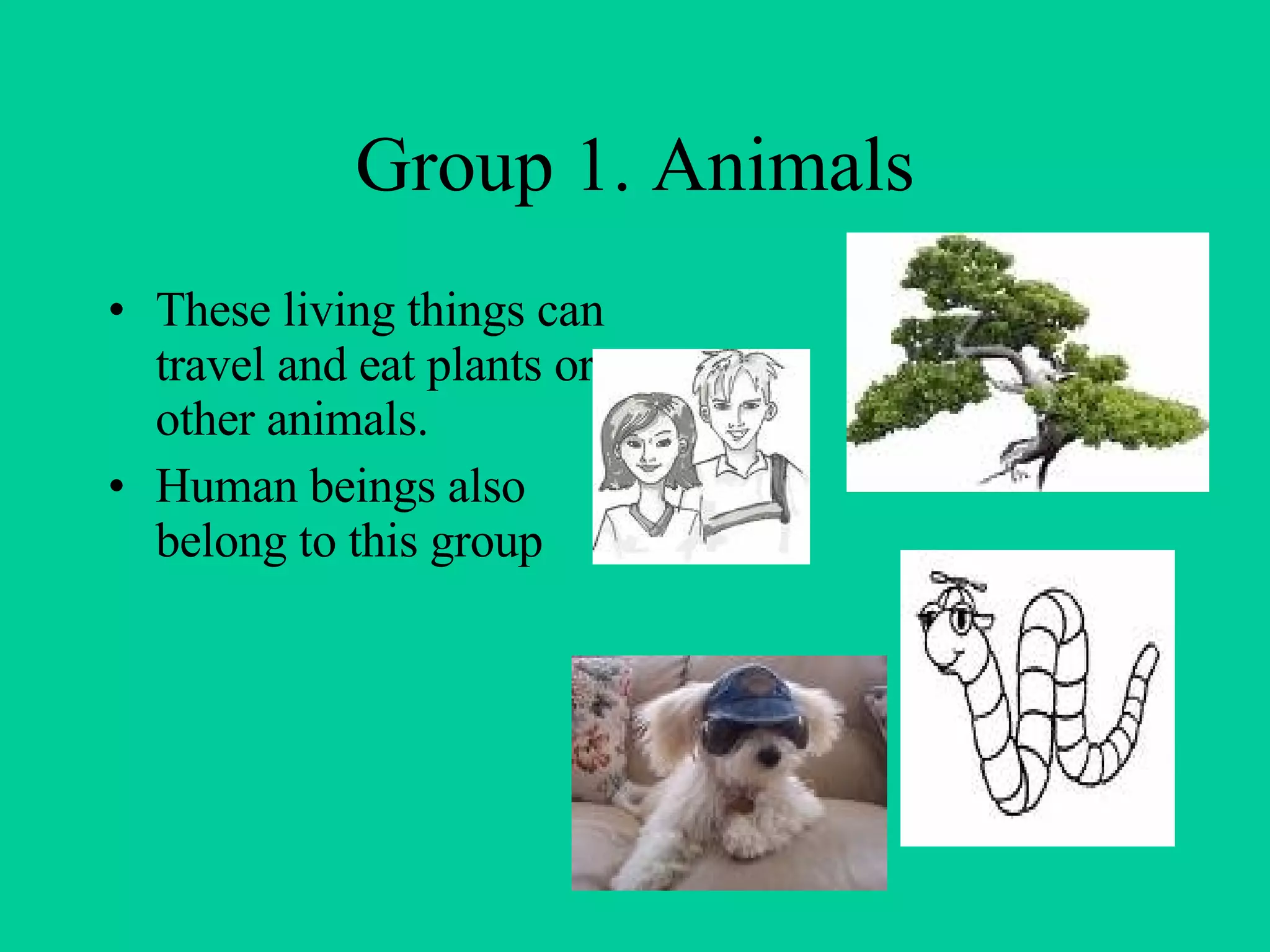 Living Things-Seres Vivos | PPT