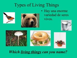 Living Things-Seres Vivos | PPT