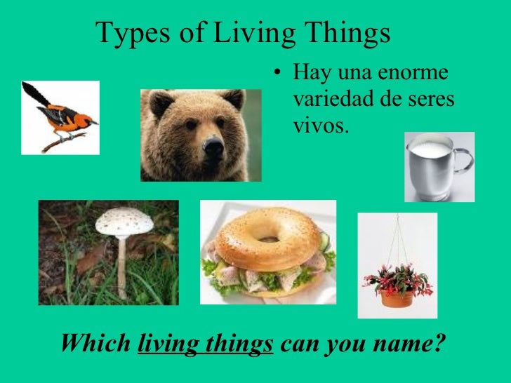 Living Things-Seres Vivos