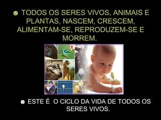 Seresvivo e não vivos | PPT