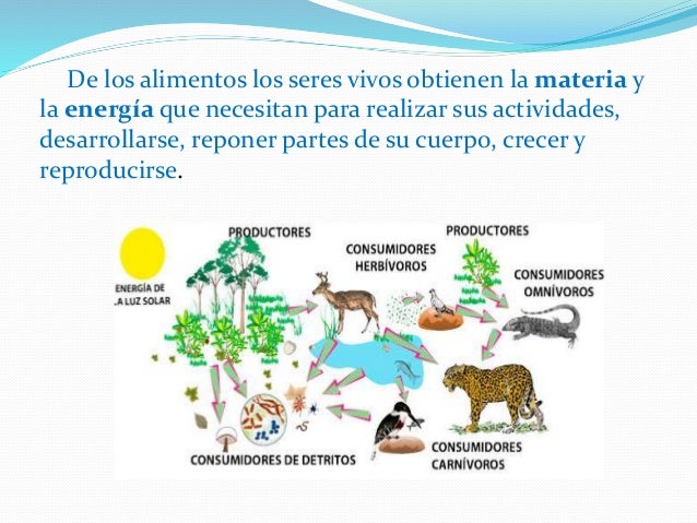 Seres vivos se relacionan con el ambiente