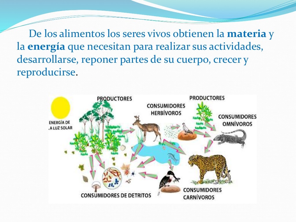 Seres vivos se relacionan con el ambiente