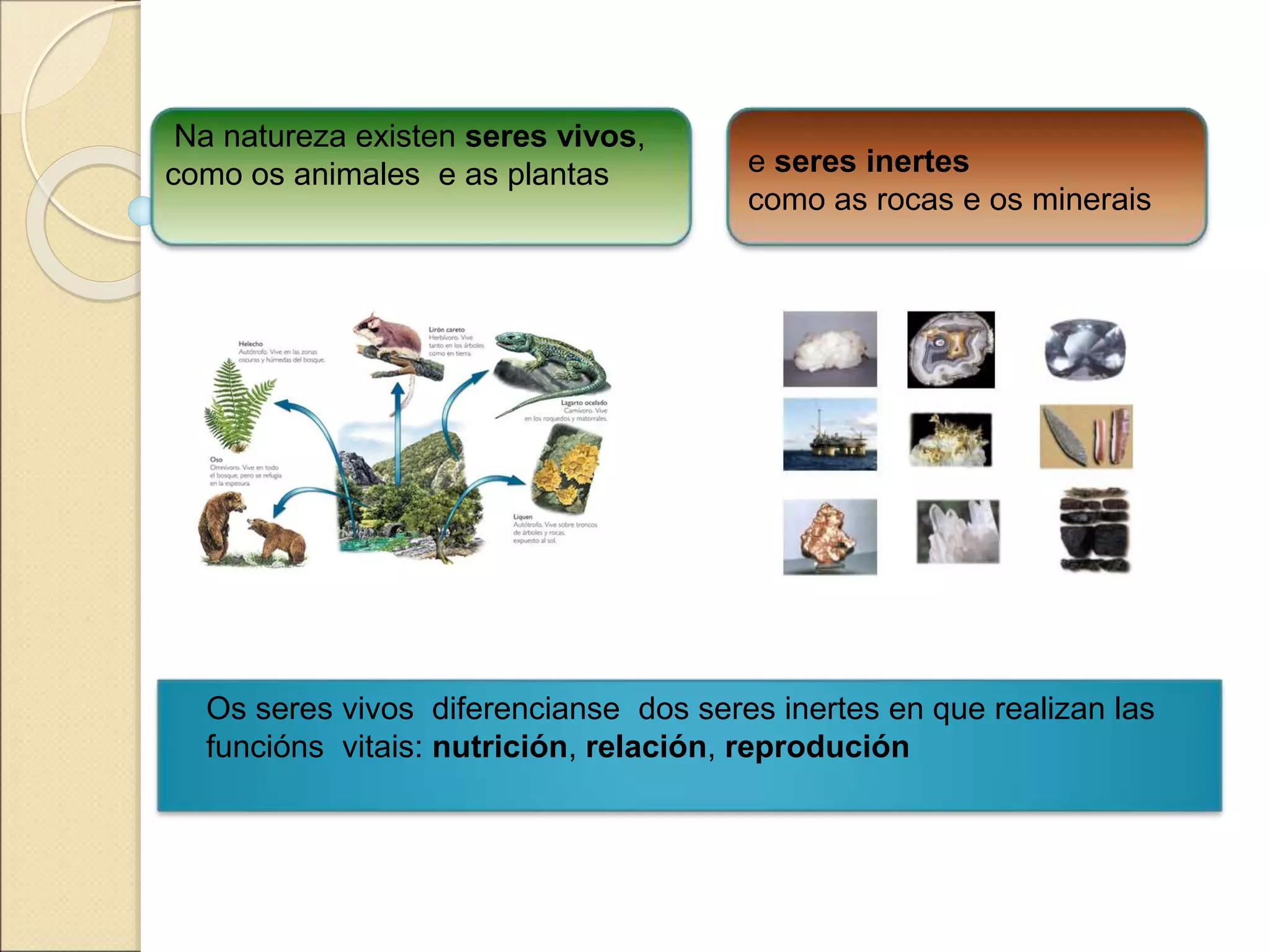 Seres vivos | PPSX