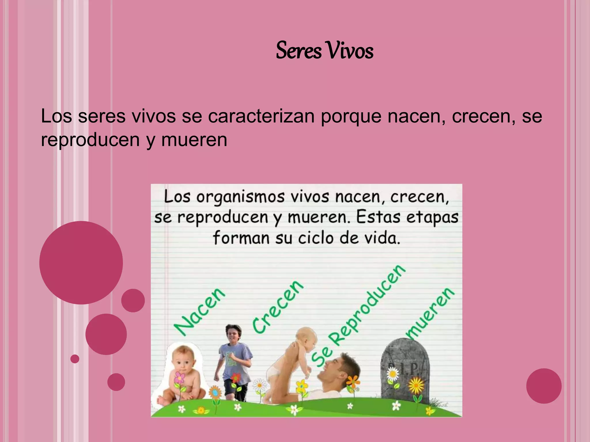 Seres vivos | PPTX | Biological Sciences | Science