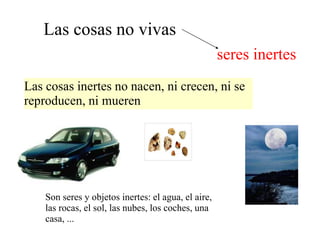 seresvivos.ppt