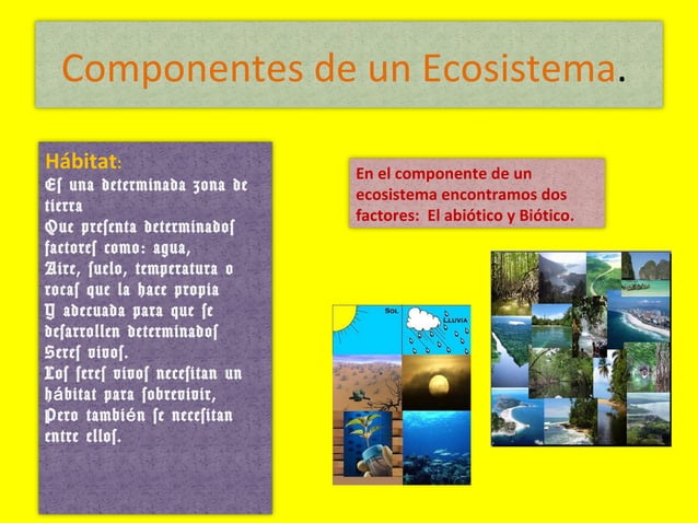 Seres vivos y ambiente | PPT | Geography | Science