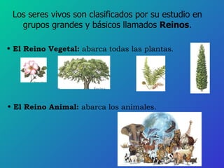 Seres vivos 4to grado | PPS