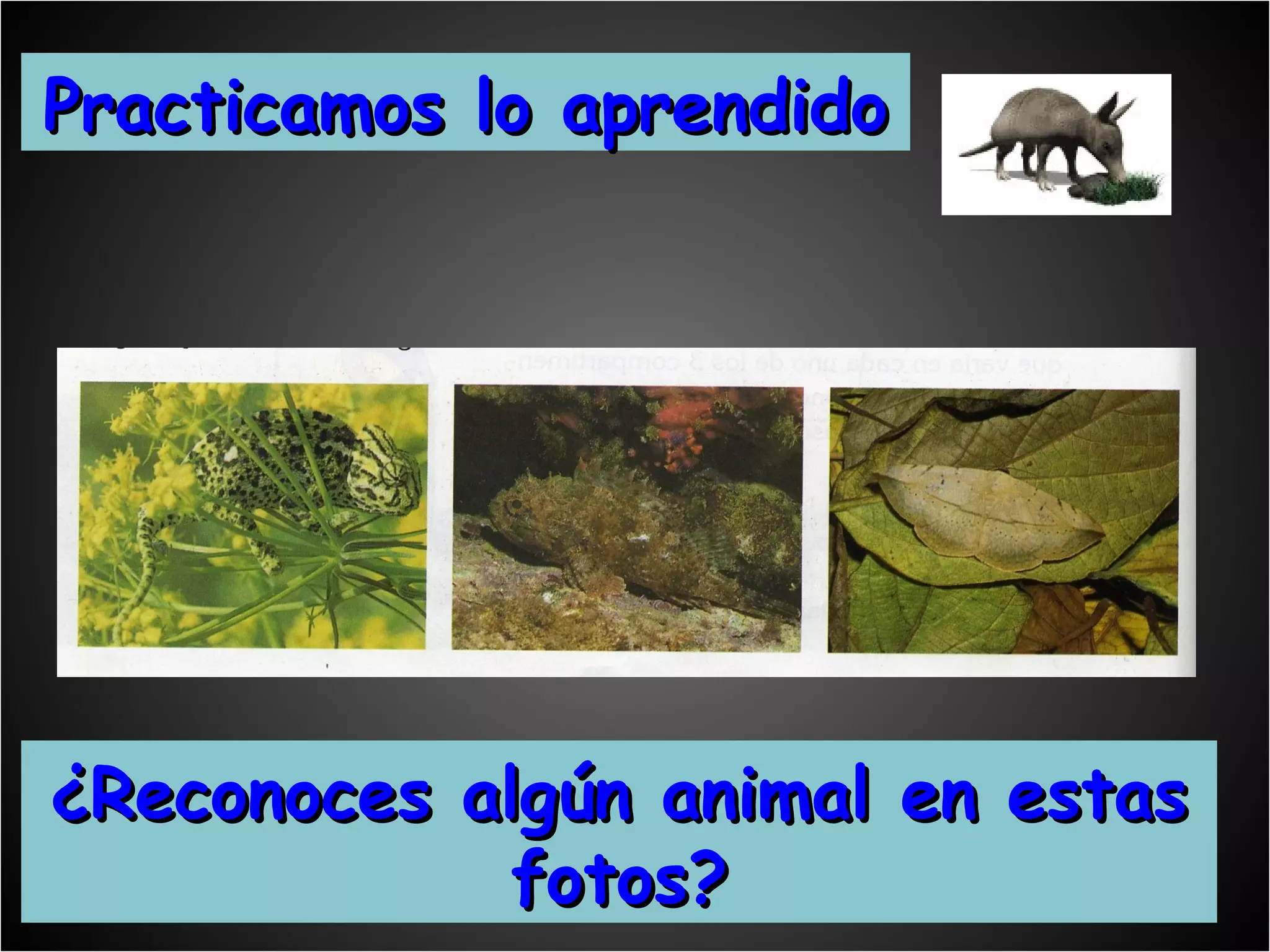 Seres vivos ambiente | PPT