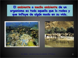 Seres vivos ambiente | PPT