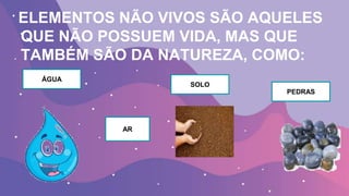 seres_vivos_e_elementos_sem_vida.pptx