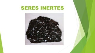 Seres vivos e inertes | PPTX
