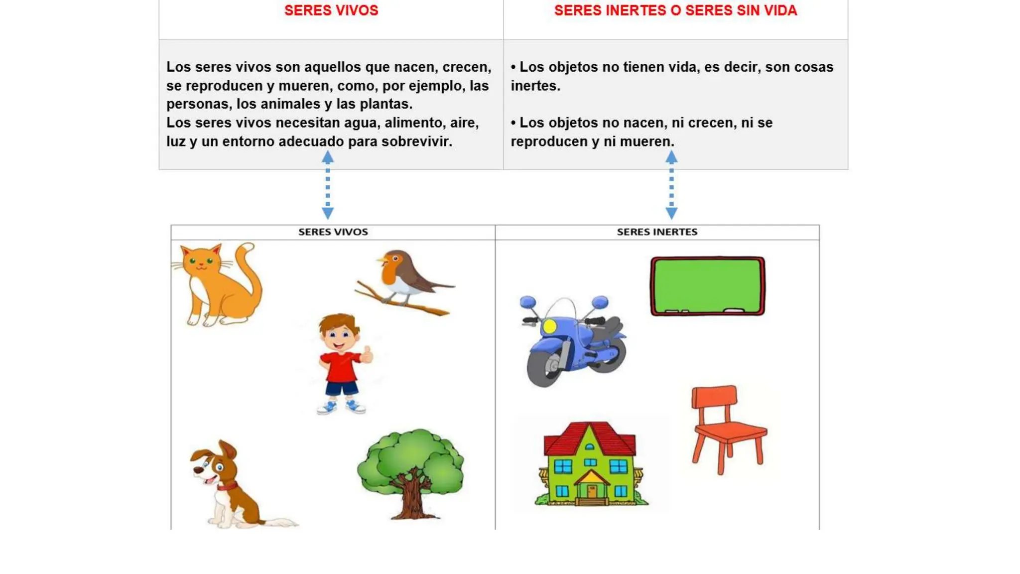 SERES VIVOS Y SERES NO VIVOS(INERTES)- CLASE.pptx
