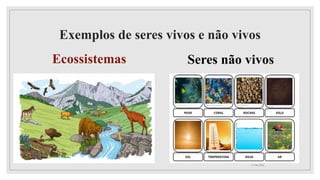 Seres vivos e não vivos.pptx