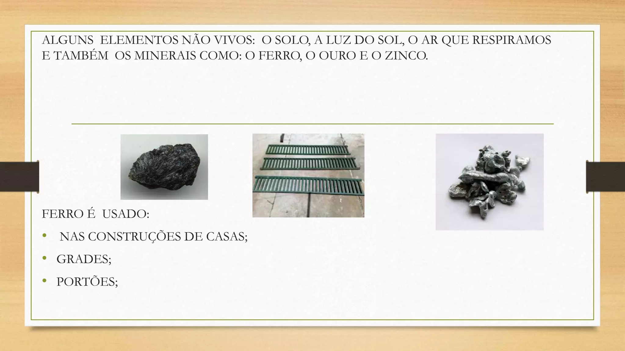 Seres vivos e os elementos não vivos | PPT
