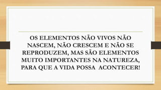 Seres vivos e os elementos não vivos | PPTX