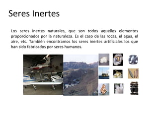 Seres Vivos IV Parte: Clasificación Hongos, Bacterias y Seres Inertes | PPT