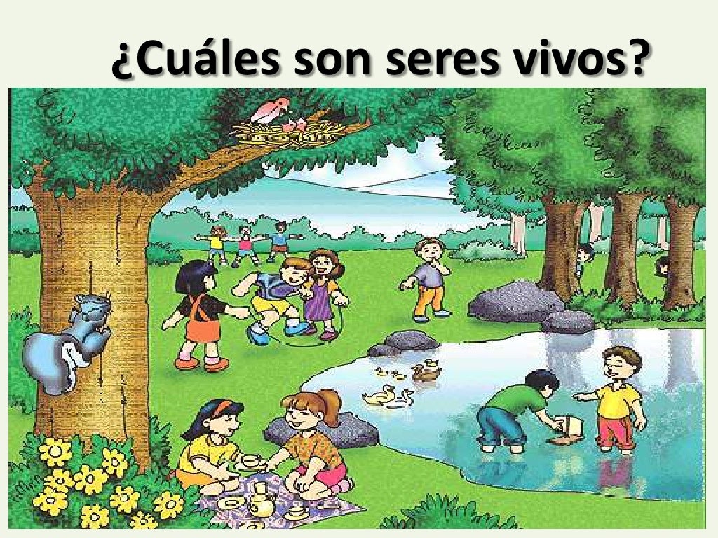 Sesion Aprendizaje Diferencias Entre Seres Vivos Y No Vivos Up The – eroppa