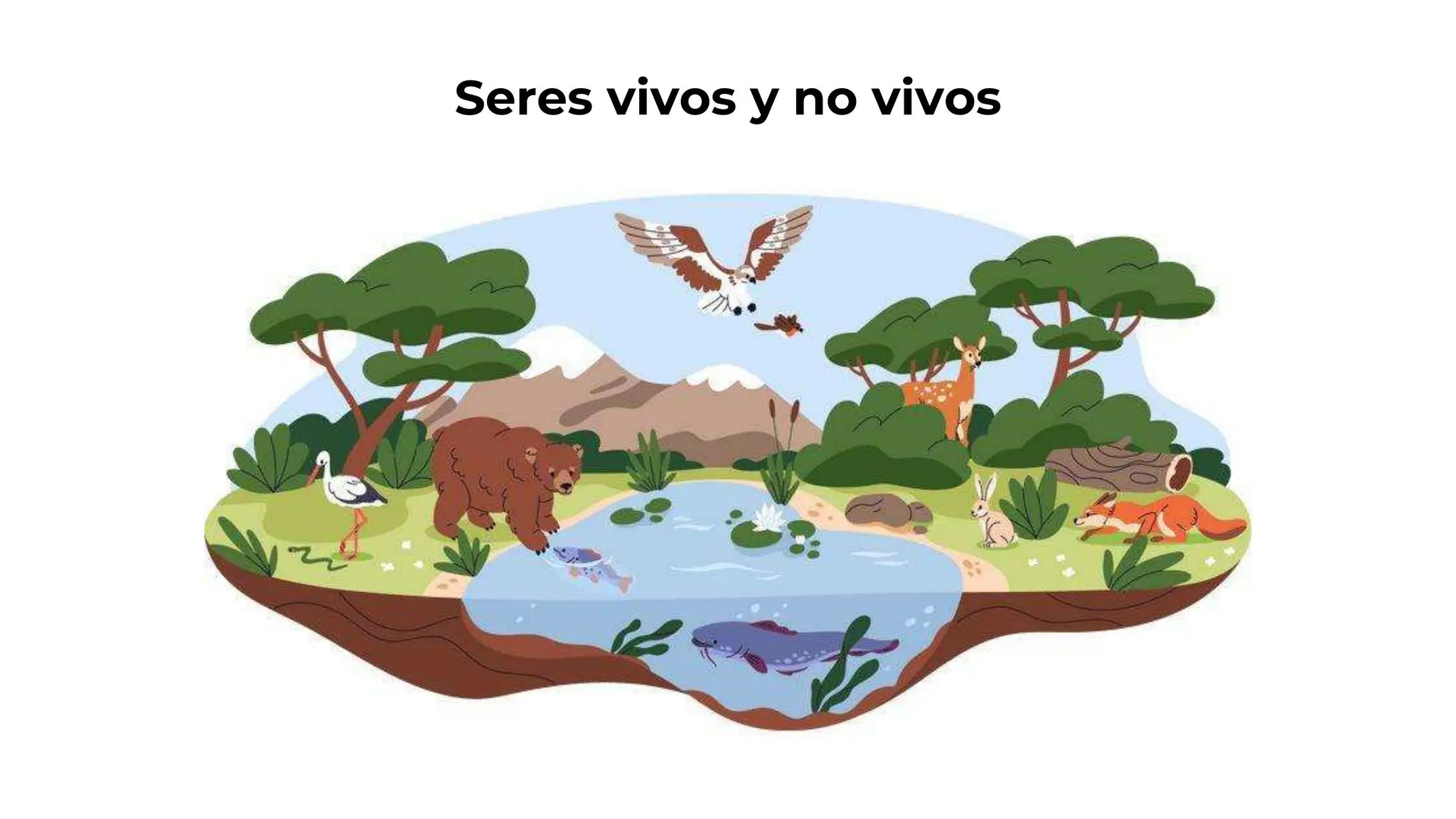 Seres vivos y no vivos actividades preescolar | PPT