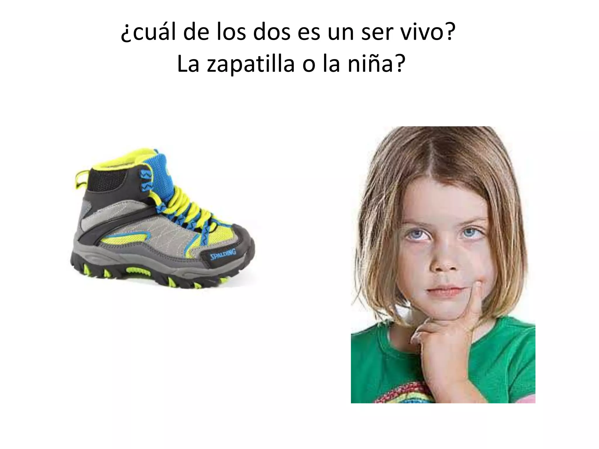 Seres vivos y objetos inertes | PPTX