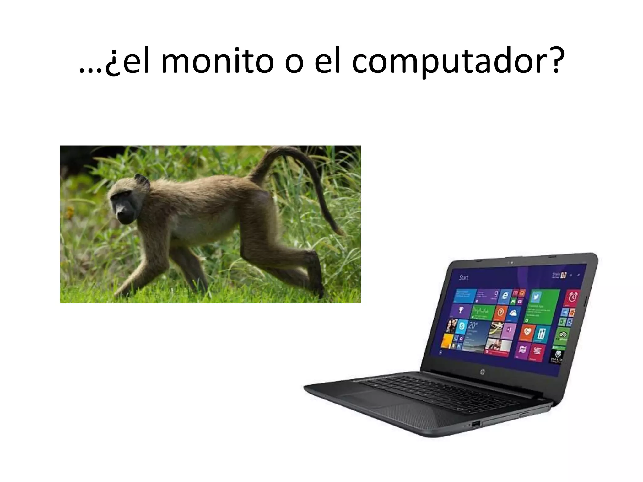 Seres vivos y objetos inertes | PPTX