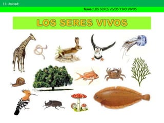 Seres vivos y seres no vivos | PPTX