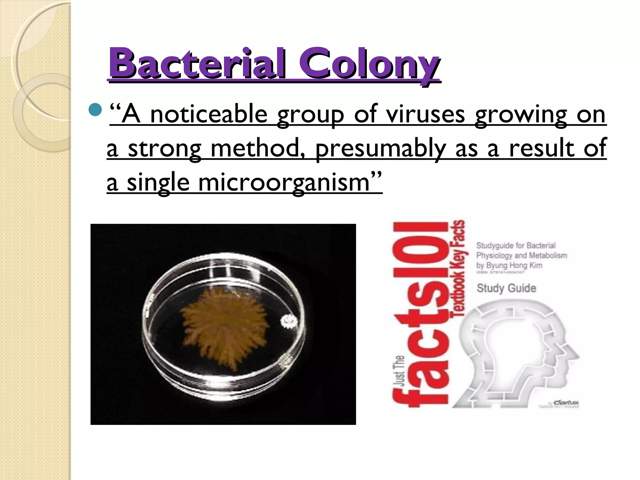 Serge Francois | Physiology of Bacteria | PPT | Chemistry | Science