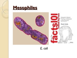 Serge Francois | Physiology of Bacteria | PPT | Chemistry | Science