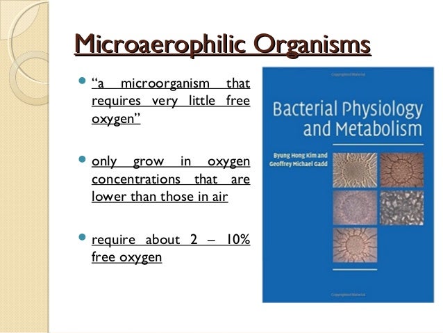 Serge Francois | Physiology of Bacteria