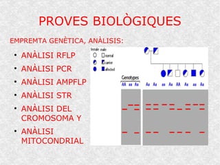 Sergi Llambrich Ferré | PPT