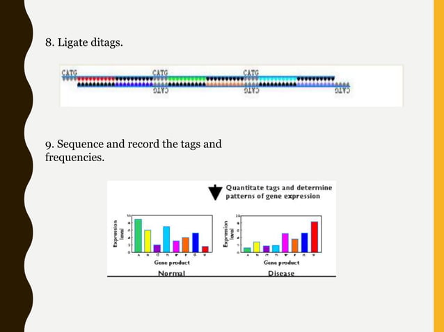 Serial analysis of gene expression | PPTX | Programming Languages | Computing