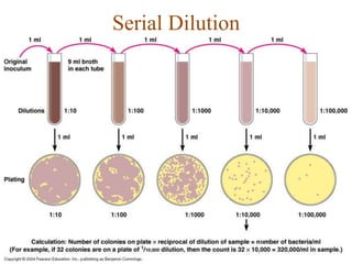 Serial dilution | PPTX