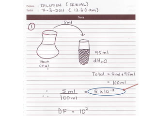 Serial Dilution Diagram