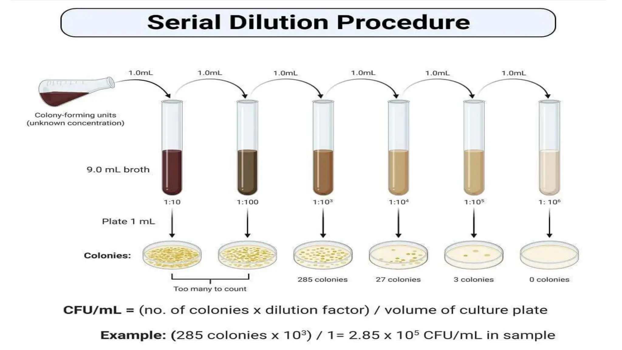 detailed study about Serial dilution.pptx