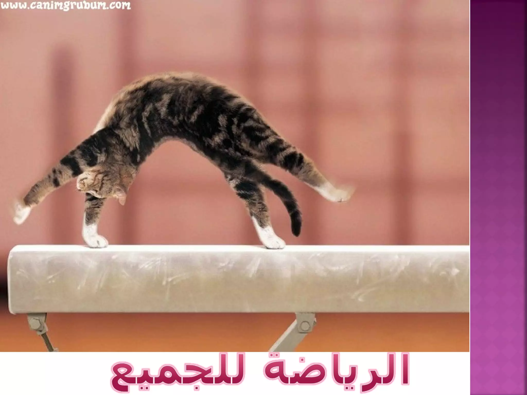 Serial extraction in orthodontic | PPT | Dental Health | Diseases and ...