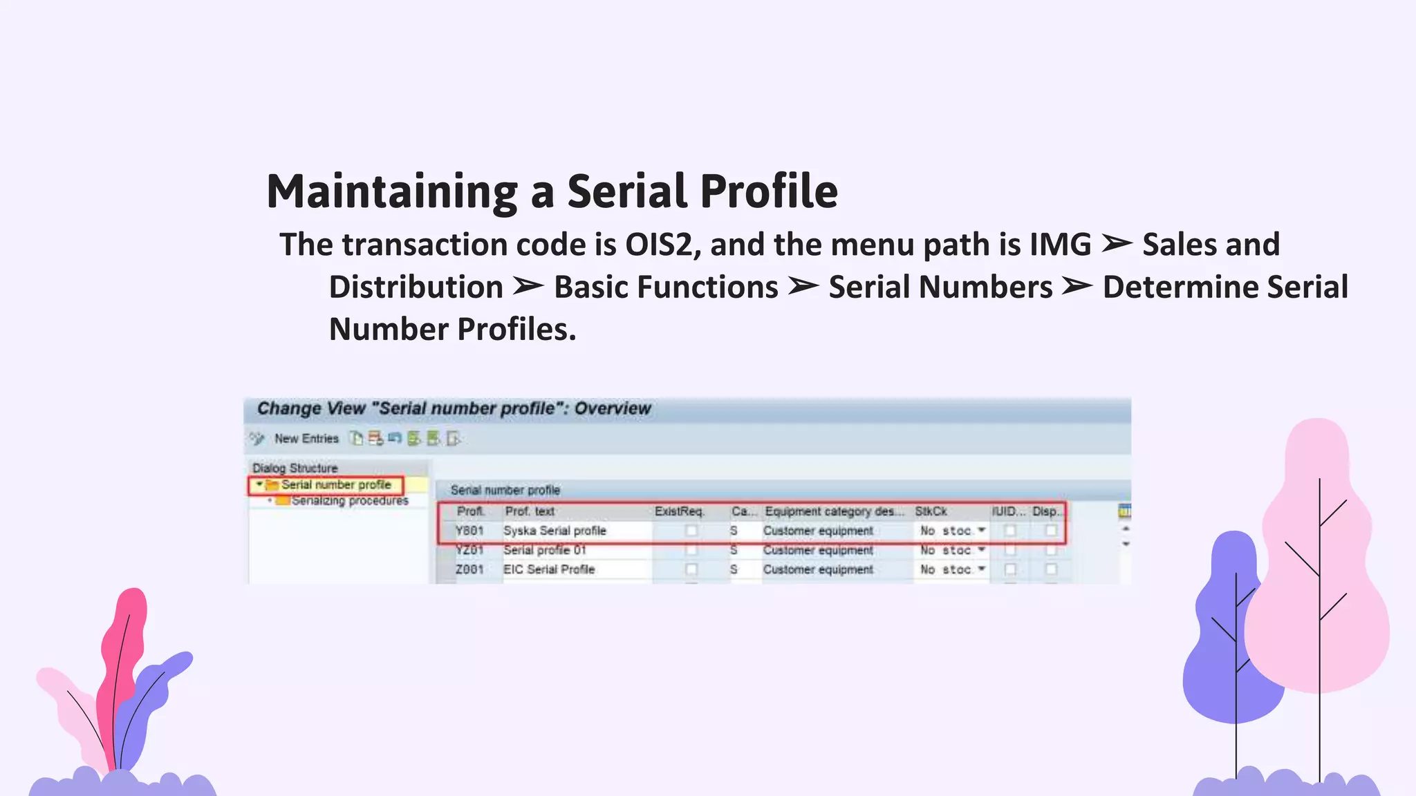 Serial Number Management.pptx