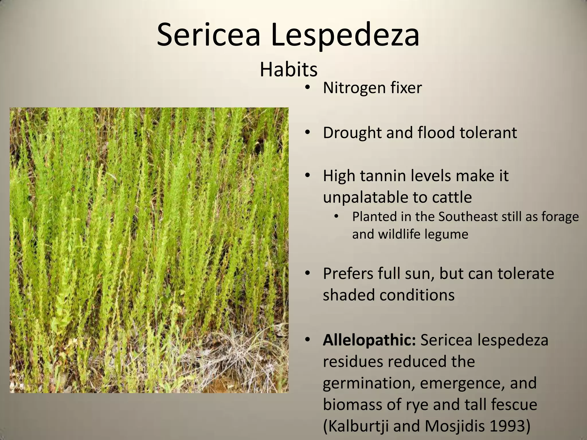 Sericea lespedeza | PPTX | Agriculture | Industries